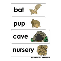 Bats Preschool Activities, Crafts, and Lessons | KidsSoup